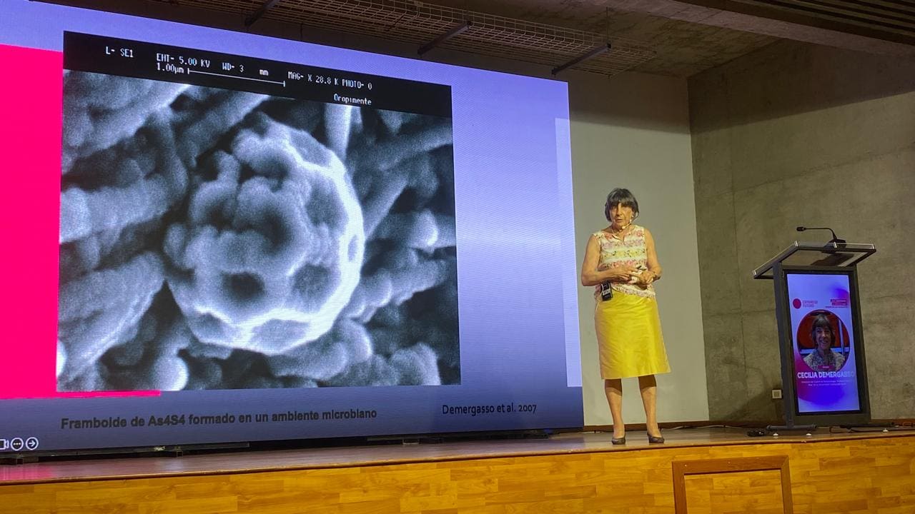 Avanzan estudios para curar el cáncer con nanopartículas de arsénico de ...