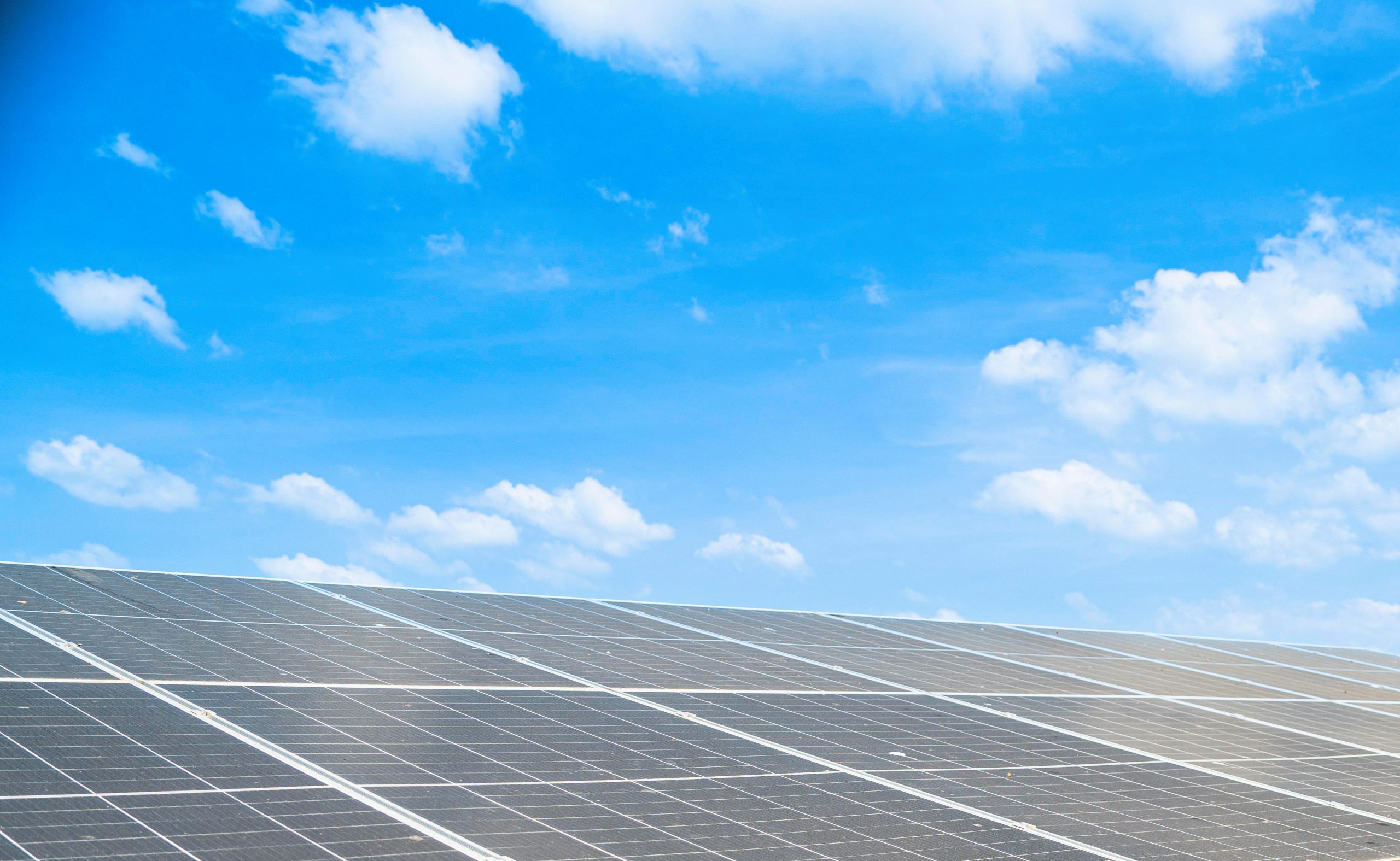Paneles fotovoltaicos permitirán a la UCN generar gran cantidad de energía limpia en sus campus ...